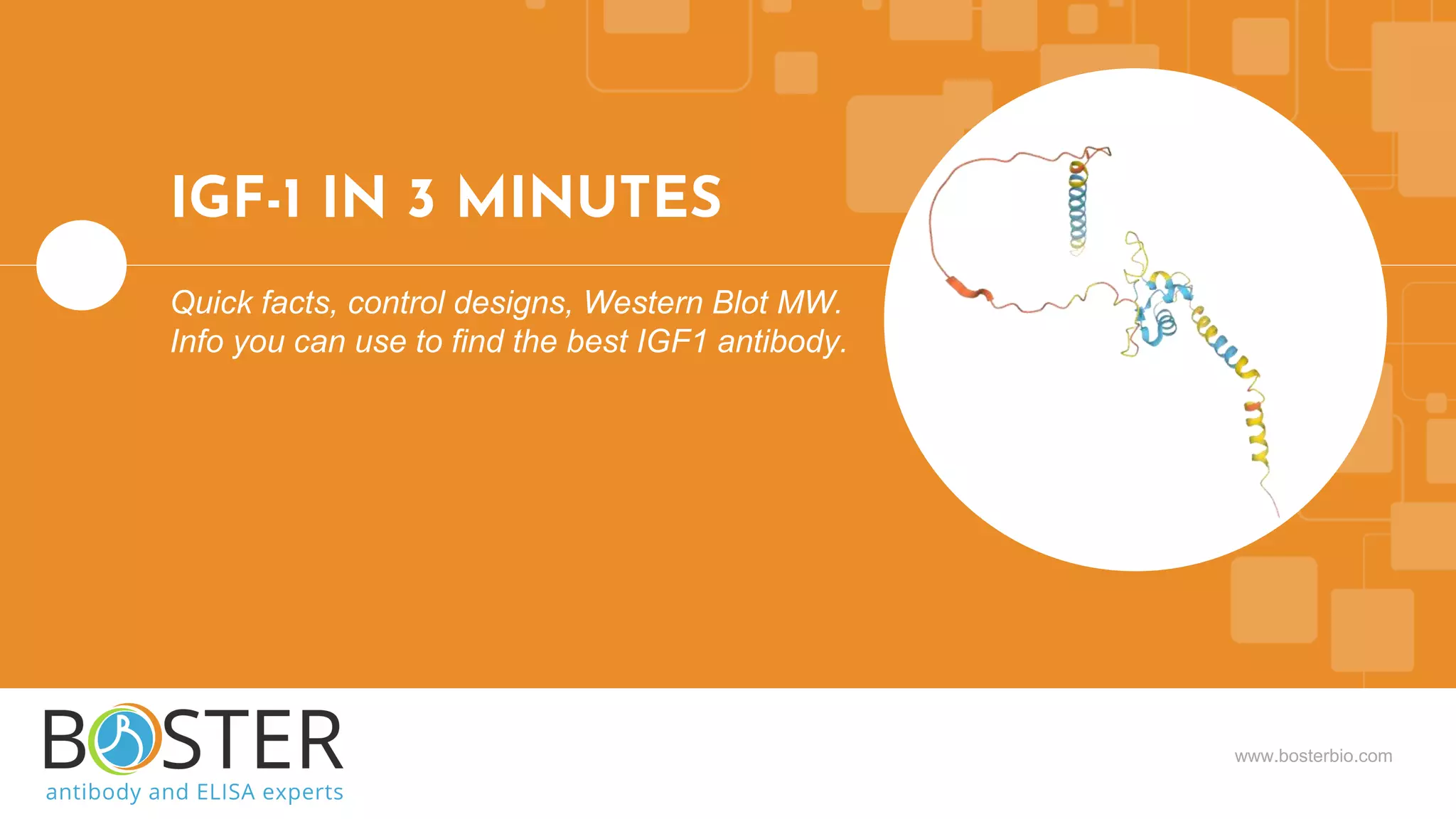Learn IGF-1 in 3 minutes | Insulin-like growth factor I | PPTX