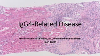 IgG4-Related Disease | PDF