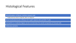 IgG4-Related Disease | PDF