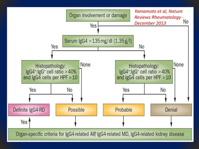 IgG4 related disease Dr Suresh Gorka | PPTX | Digestive Disorders ...