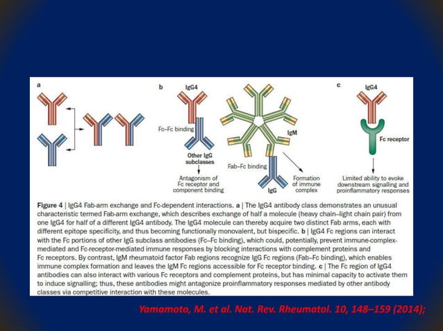 IgG4 related disease Dr Suresh Gorka | PPTX | Digestive Disorders ...