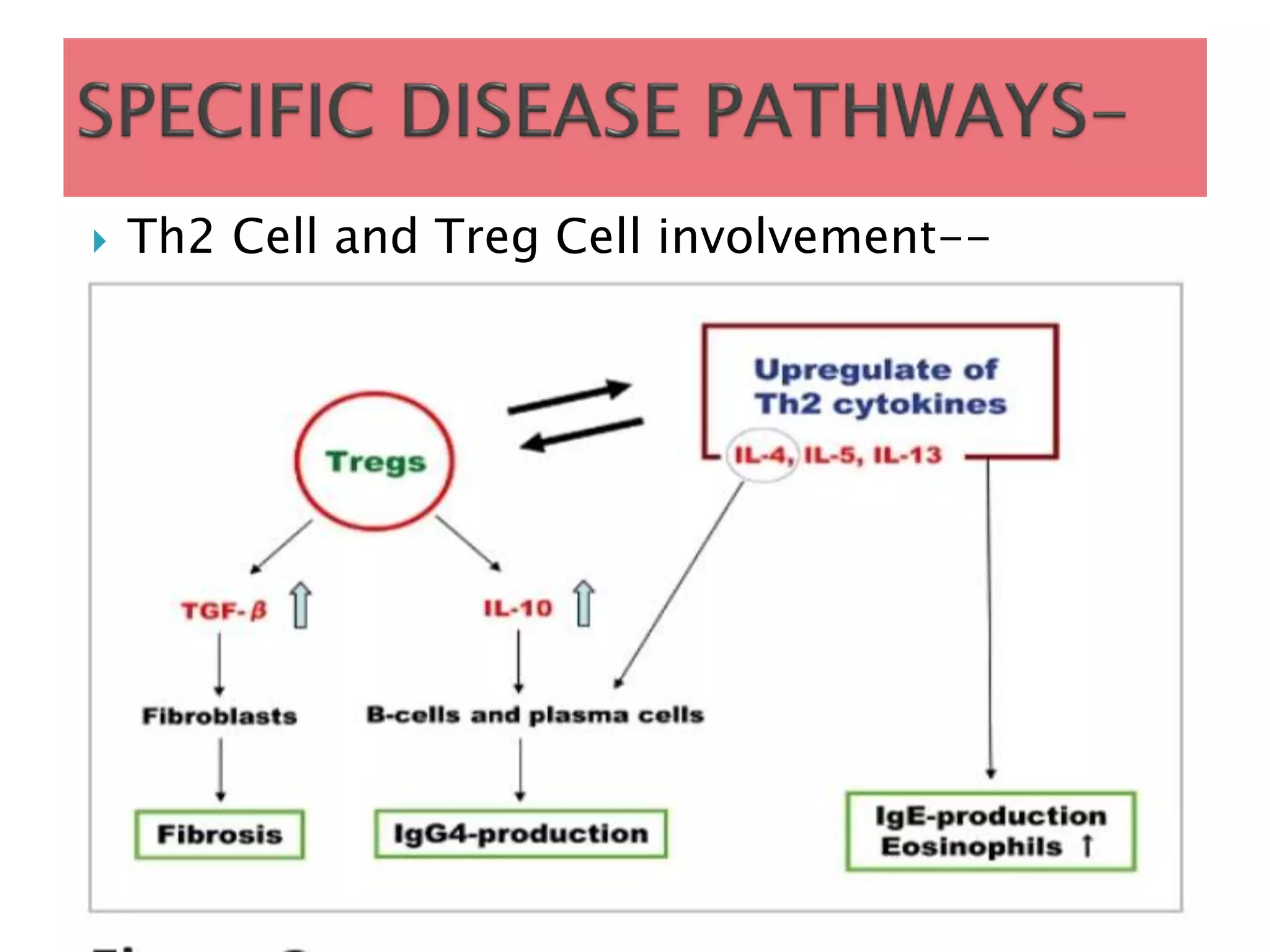IgG4 RELATED DISEASES.pptx