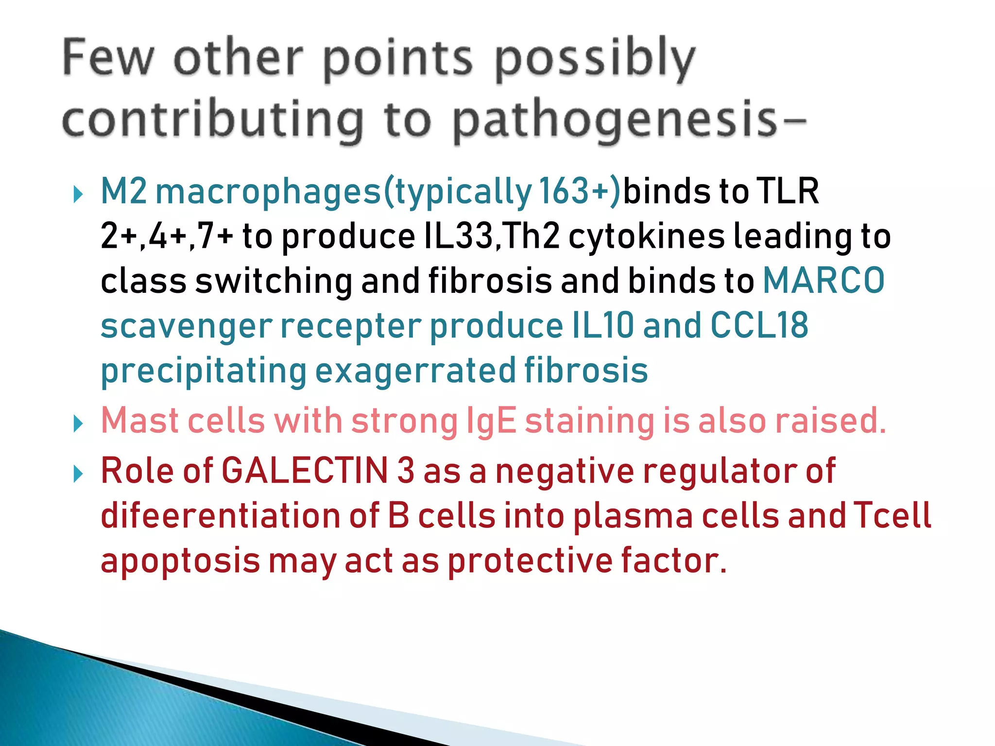 IgG4 RELATED DISEASES.pptx
