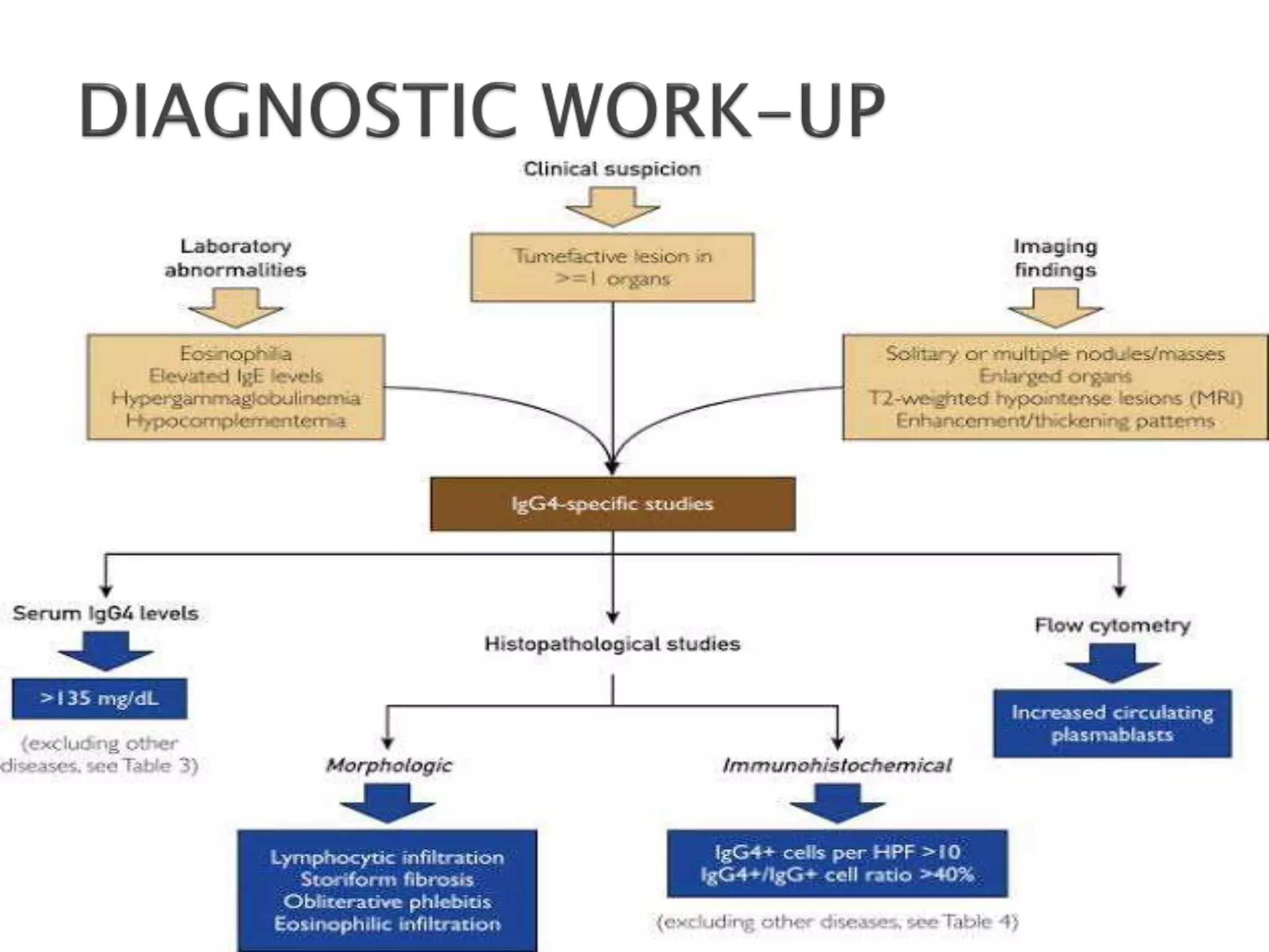 IgG4 RELATED DISEASES.pptx