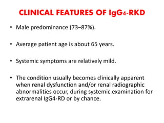 Ig g4 related renal disease | PPT