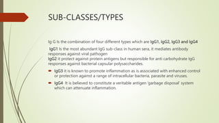 IgG group1.pptx