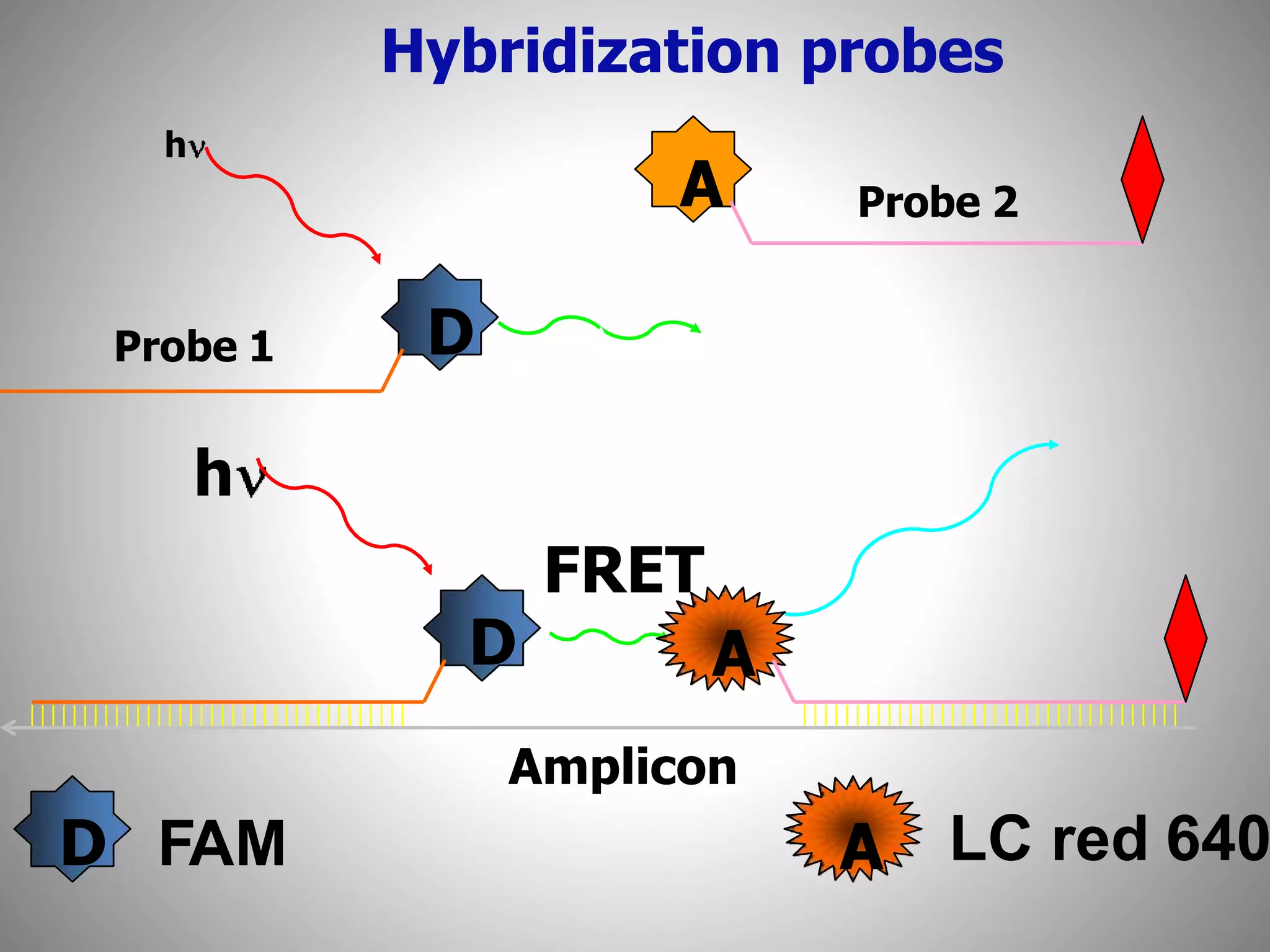 Study Of Microarray (Genomic study) | PPTX