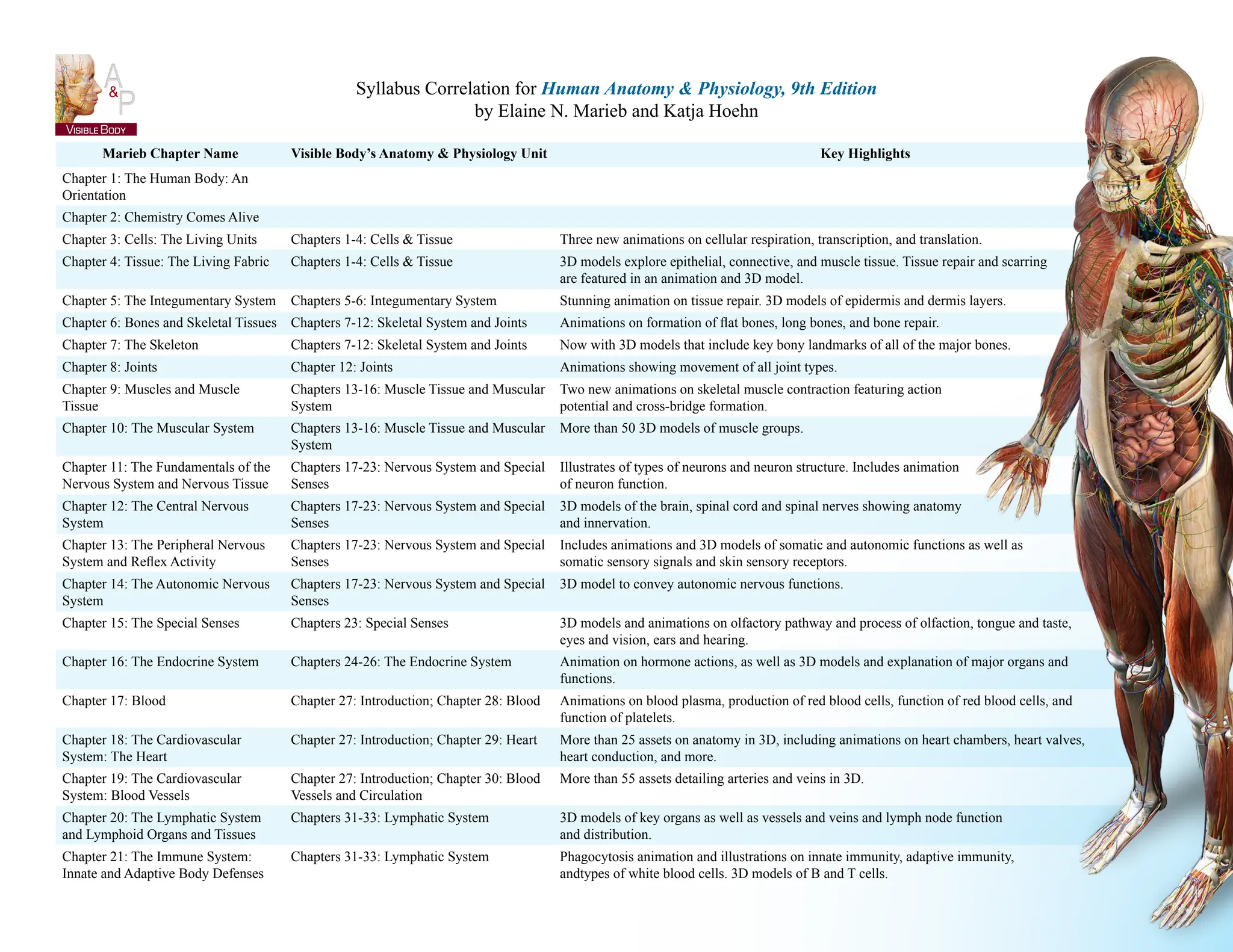 Questions about All systems (anatomy and physiology) | PDF