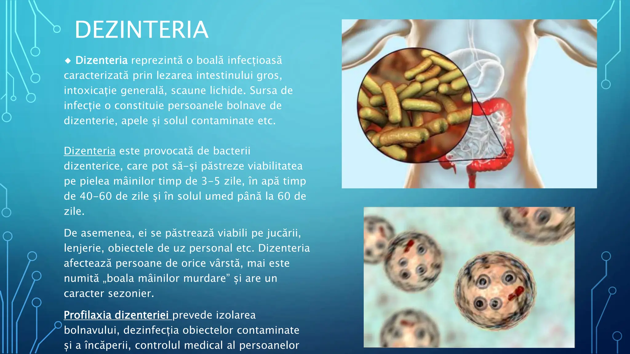 Igiena sistemului digestiv , biologi clasa 11-a | PPTX