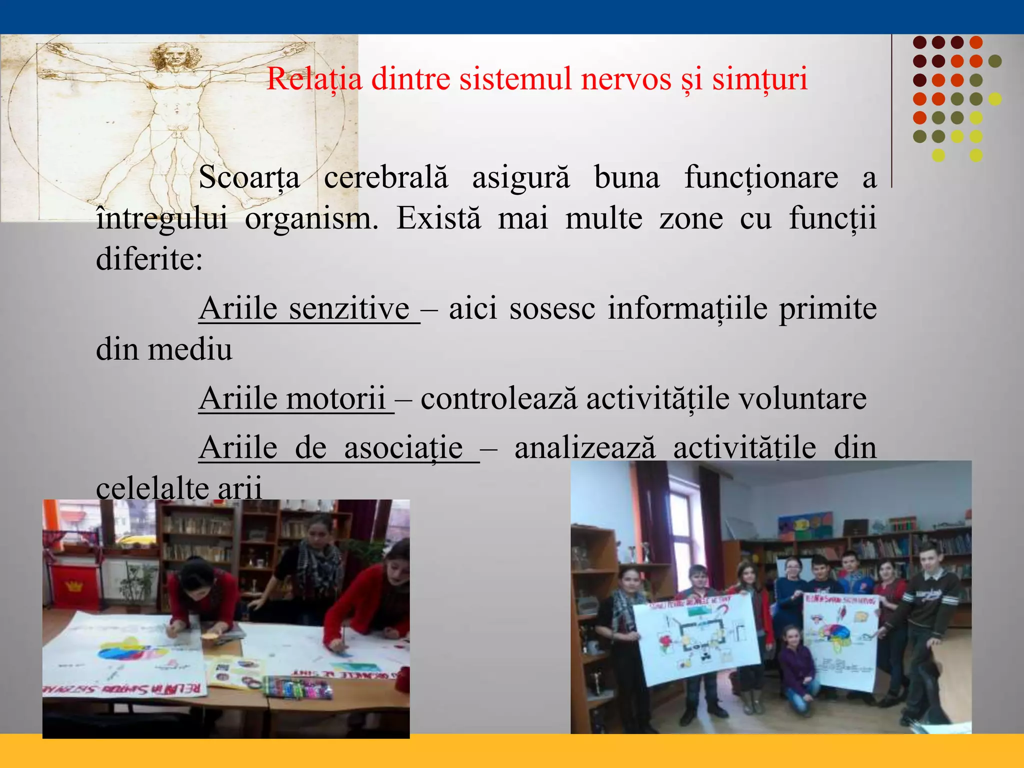 Igiena sistemului nervos și a organelor de simț- Proiect tematic | PPTX