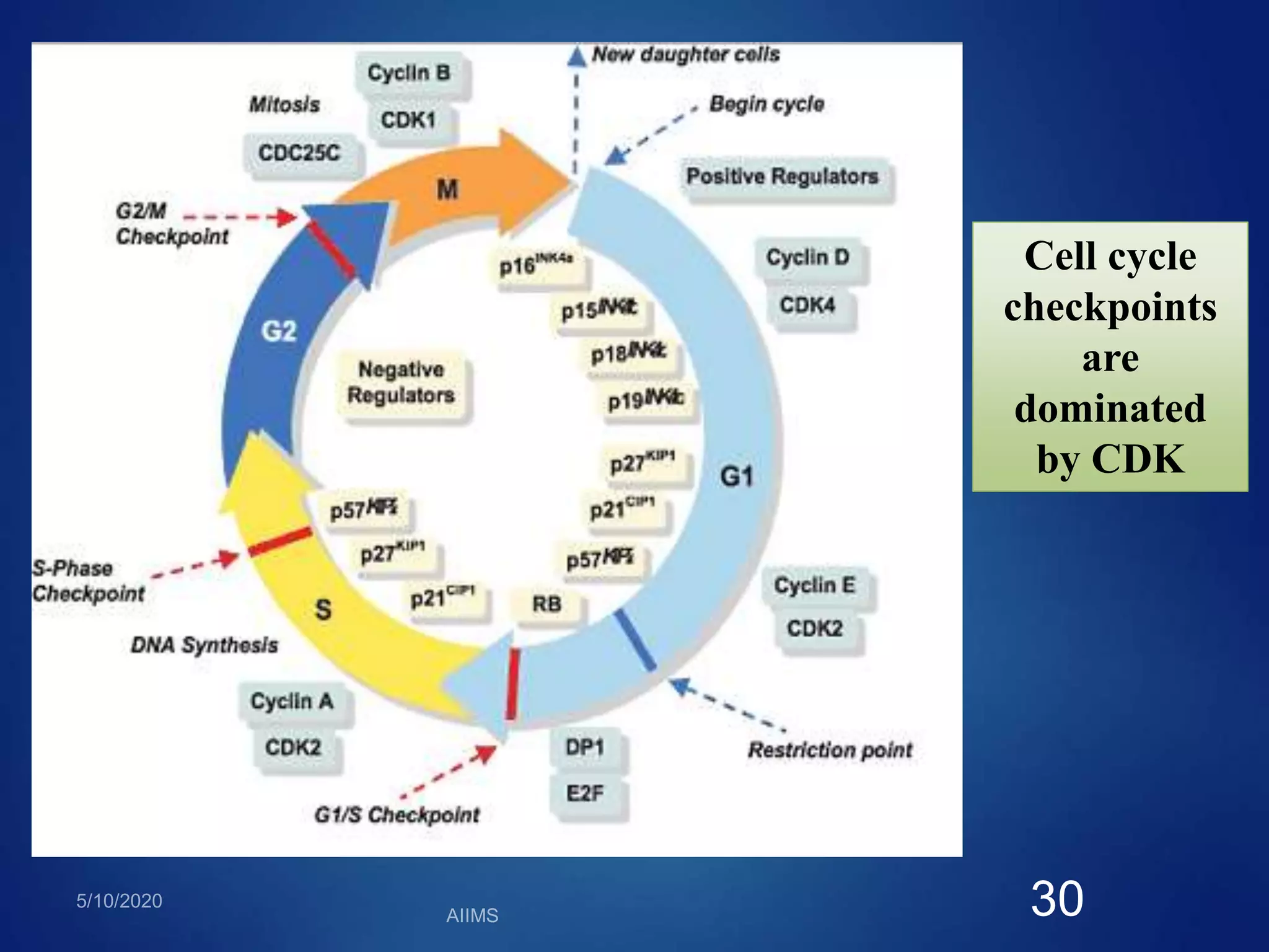 Hormonal and novel therapies in metastatic breast cancer | PPTX