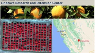 IGIS Workshop - Introduction to ArcGIS Pro - Apr 2022 - Presentation.pdf