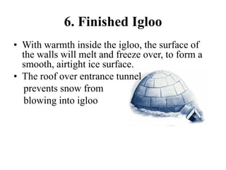 Igloo | PPTX