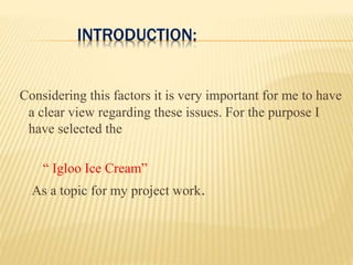 branding Igloo | PPTX