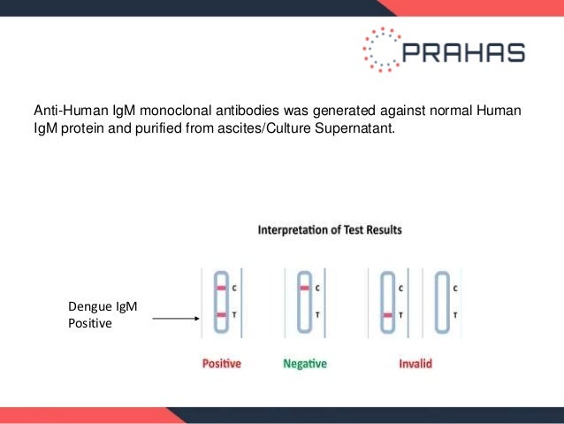 Igm Human.ppt