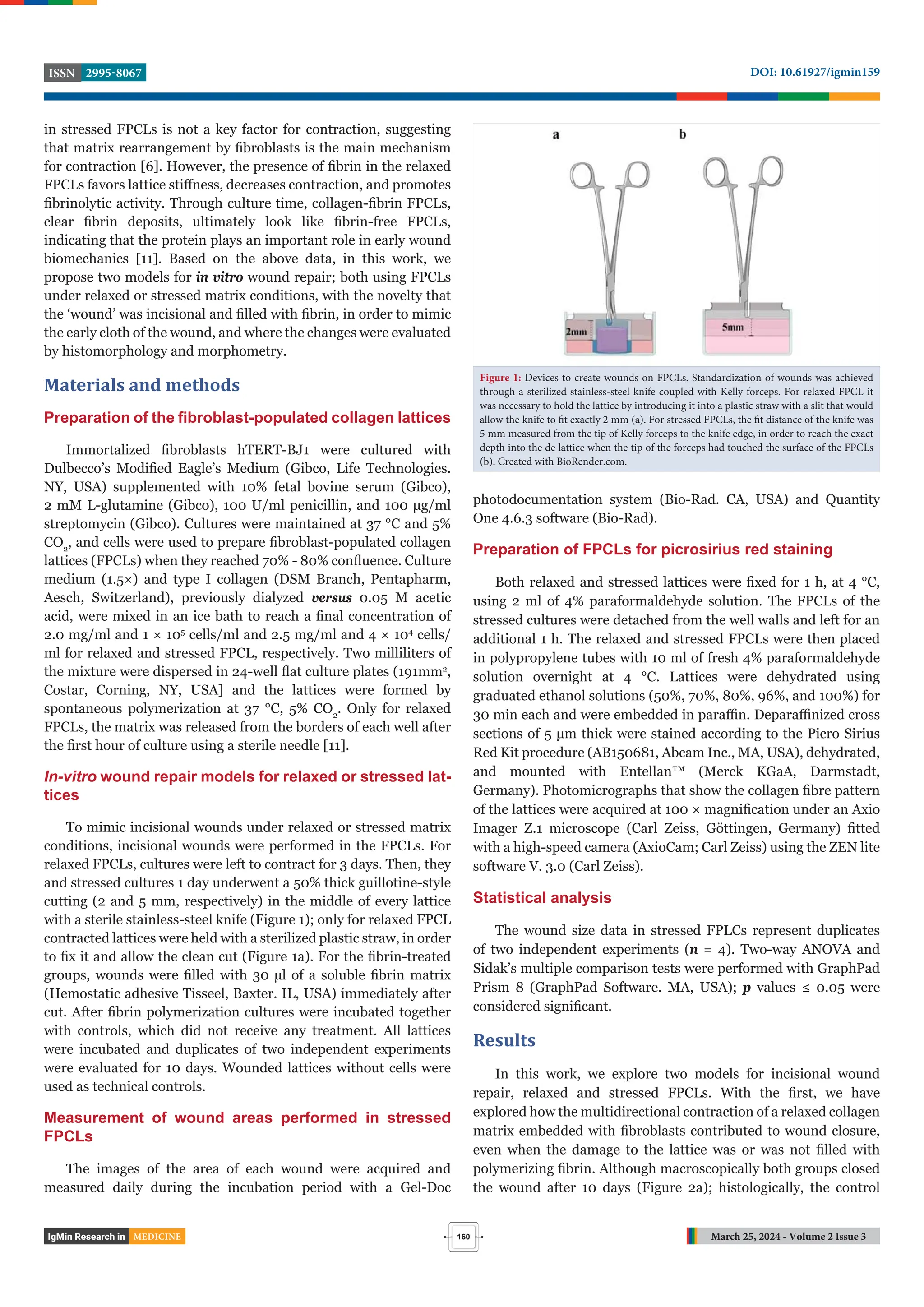 Improving Wound Repair with Fibrin and FPCL Technology | PDF