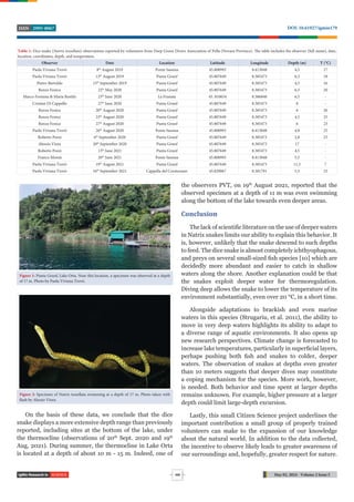 "New Depth Records for Freshwater Snakes: Insights from Lake Orta" | PDF