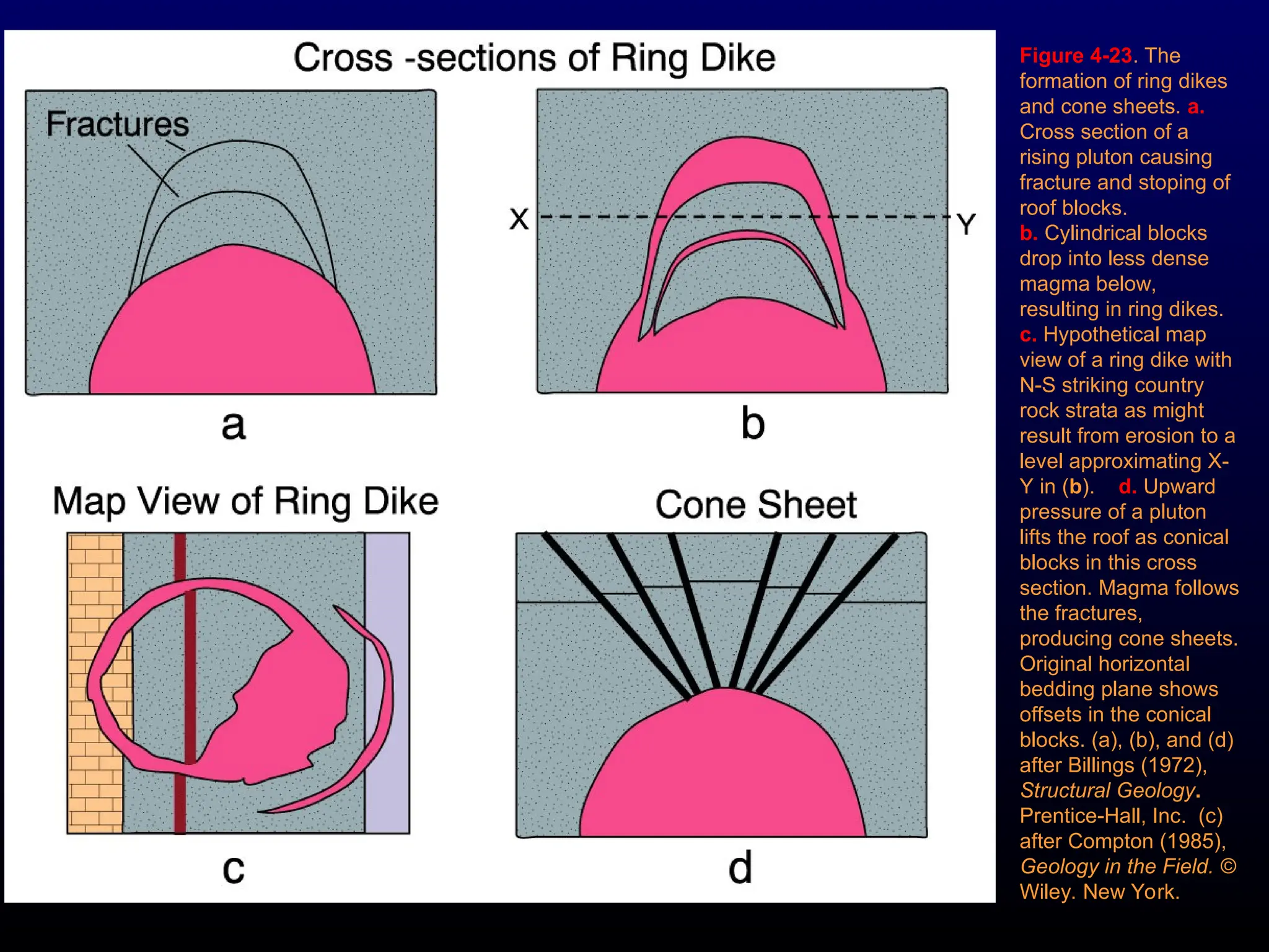 igneous structures y field relationships | PPT