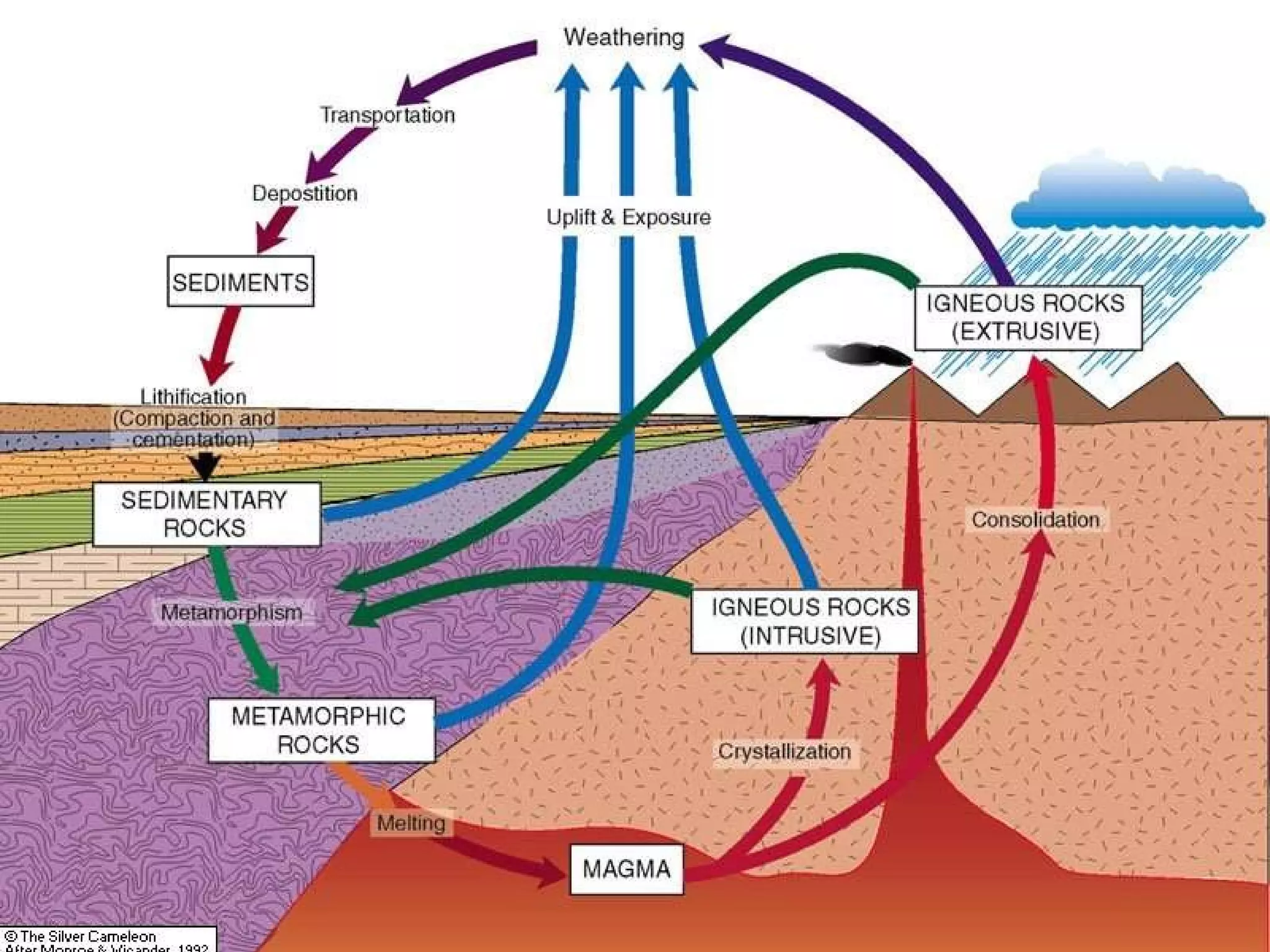 Igneous, Sedimentary, and Metamorphic Rocks | PPT