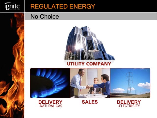 Ignite Business Presentation | PDF