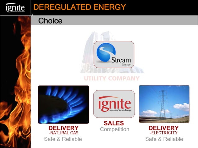 Ignite Business Presentation | PDF