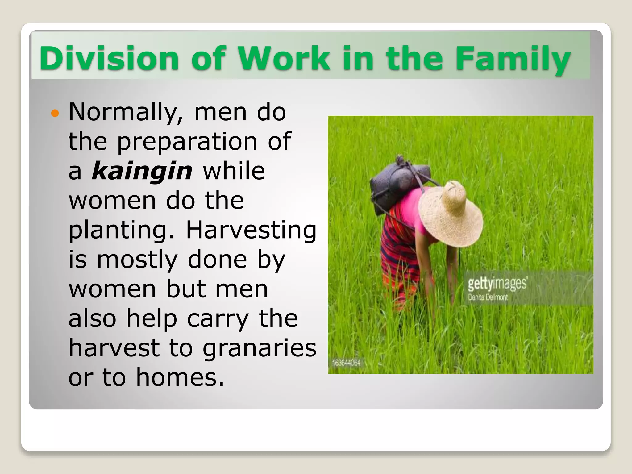 Igorot in a nutshell | PPTX