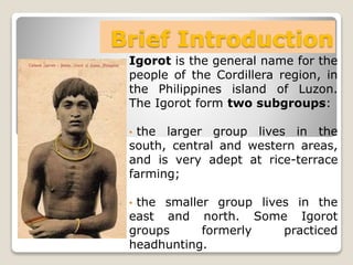 Igorot in a nutshell | PPTX
