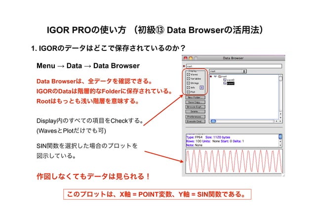 IGORpro_basic_japanese_ver.1.0 | PDF | Programming Languages | Computing