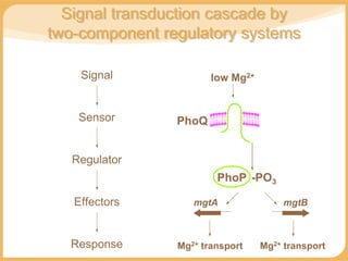 Towards an understanding of diversity in biological and biomedical ...