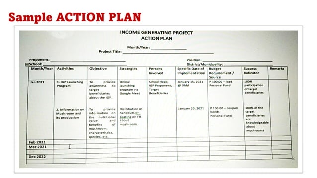 IGP-Guidelines.pdf | Business and Finance