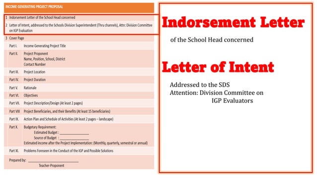 IGP-Guidelines.pdf | Business and Finance