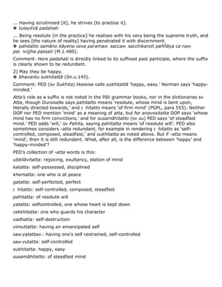 Illustrated Glossary of Pāli Terms 2023 (docx) | PDF