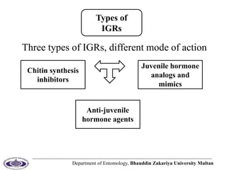 insect growth regulator | PPTX | Endocrine and Metabolic Diseases ...