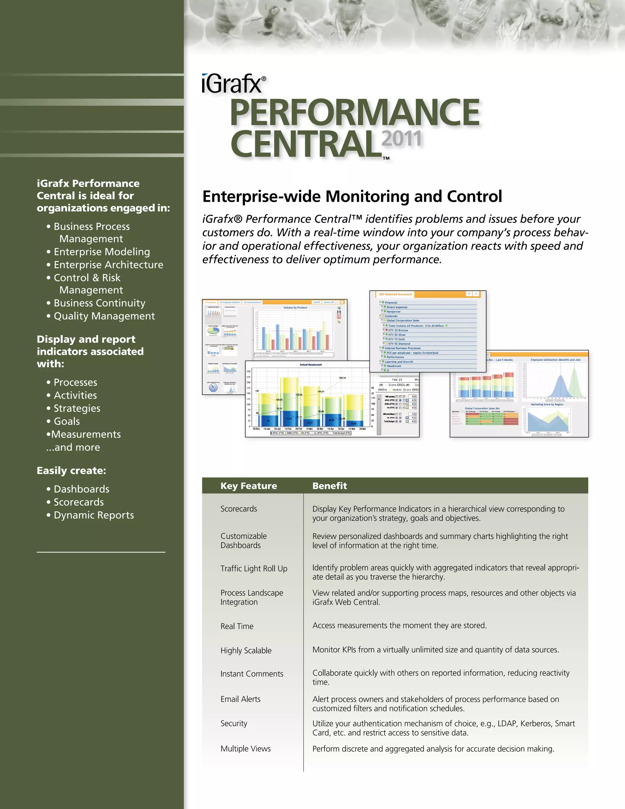 IGrafx Performance Central Brochure | PDF
