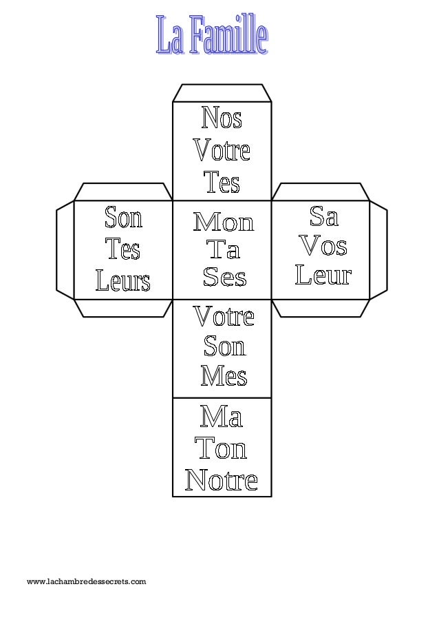 la famille et les adjectifs possessifs