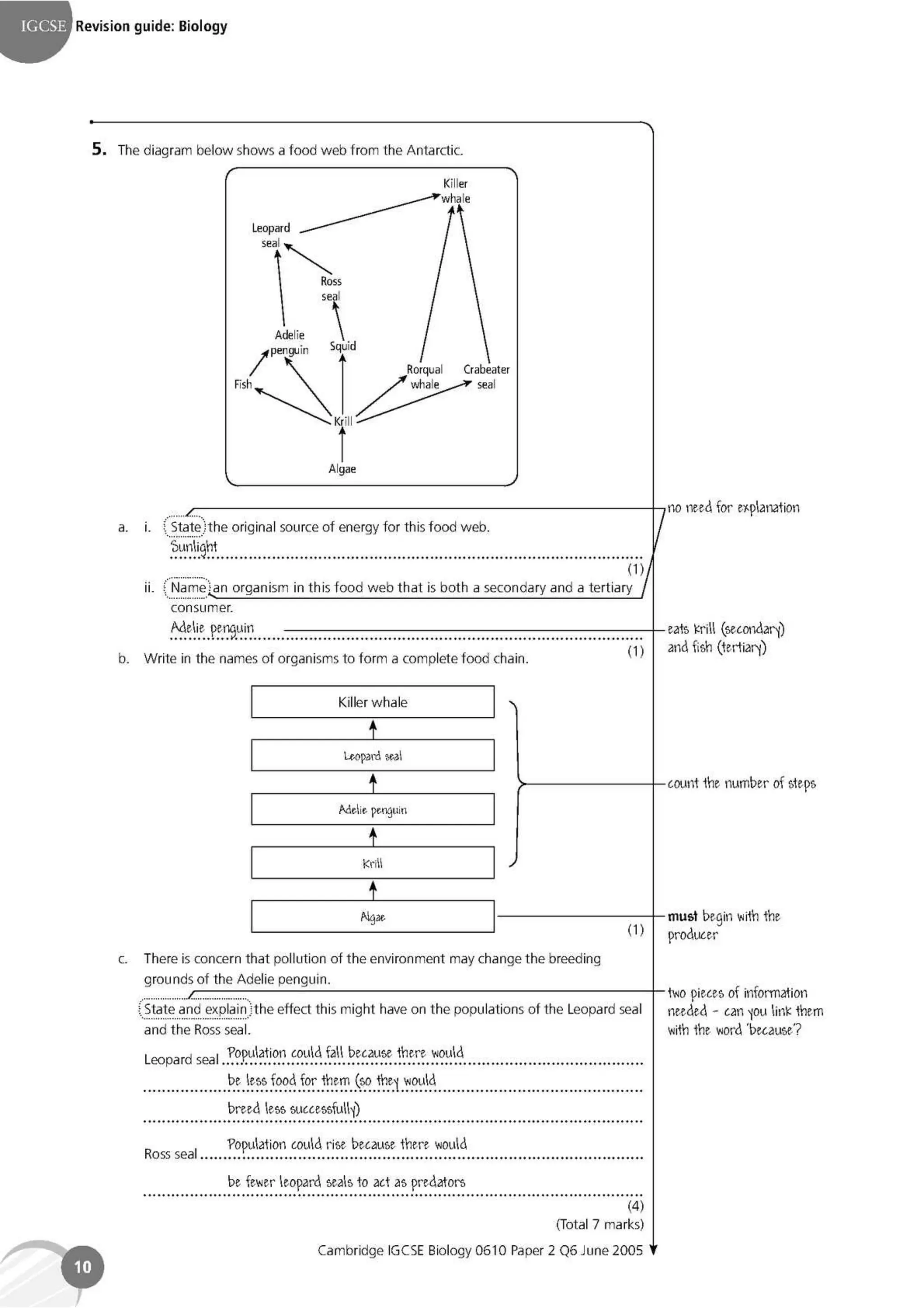 IGCSE Cambridge Examinations - Biology 0610 - resources - Revision ...