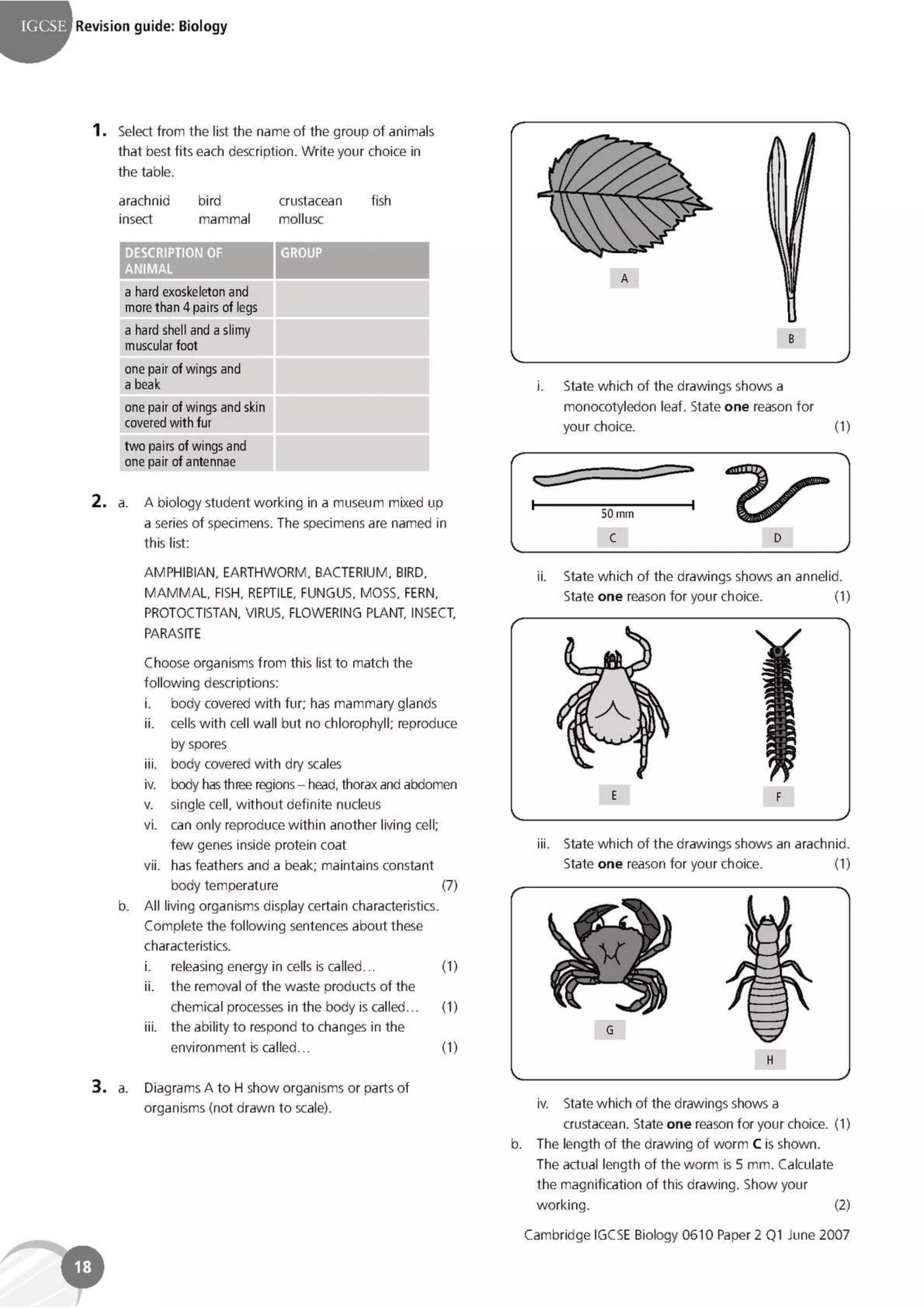 IGCSE Cambridge Examinations - Biology 0610 - resources - Revision ...