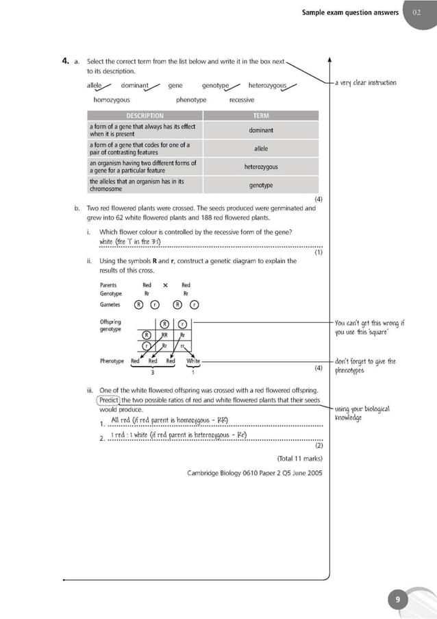IGCSE Cambridge Examinations - Biology 0610 - resources - Revision ...
