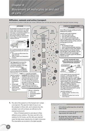 IGCSE Cambridge Examinations - Biology 0610 - resources - Revision ...