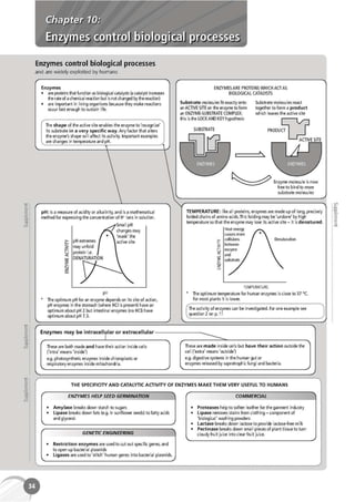 IGCSE Cambridge Examinations - Biology 0610 - resources - Revision ...