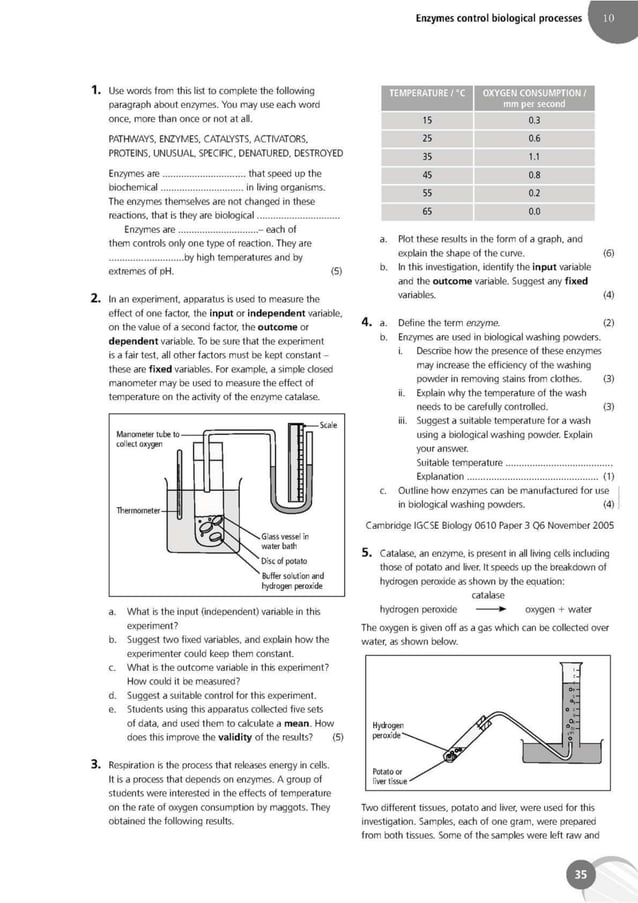 IGCSE Cambridge Examinations - Biology 0610 - resources - Revision ...