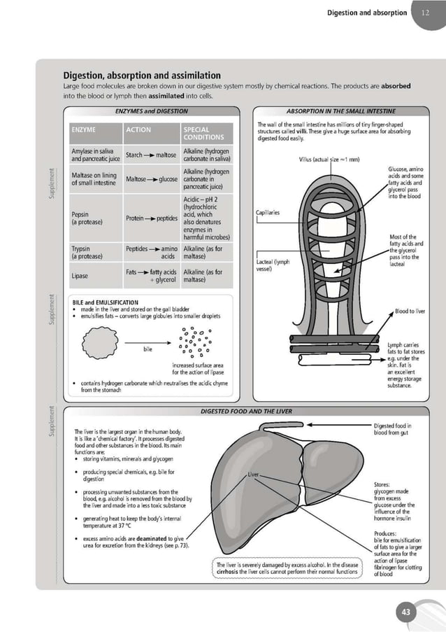 IGCSE Cambridge Examinations - Biology 0610 - resources - Revision Guide Sample | PDF