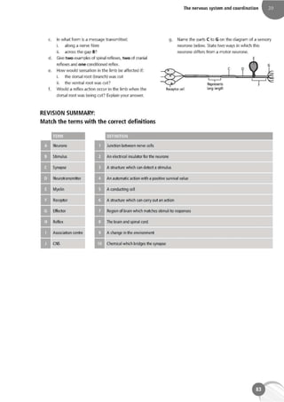 IGCSE Cambridge Examinations - Biology 0610 - resources - Revision ...