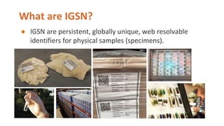 Igsn webinar-26Jul-Slides | PPT