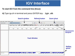Integrative Genomics Viewer | ODP