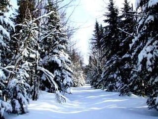 The Icy Hills | PPTX