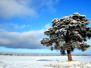 The Icy Hills | PPTX
