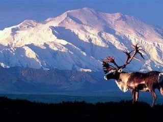 The Icy Hills | PPTX