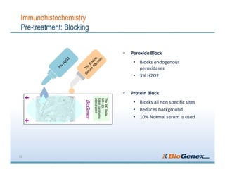 Basics of Immunohistochemistry (IHC) | PDF