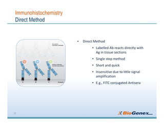 Basics of Immunohistochemistry (IHC) | PDF